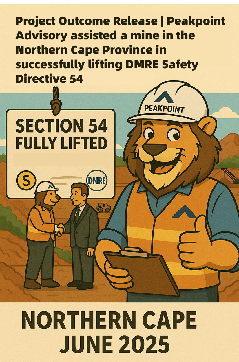 BEE是什么政策？ – PEAKPOINT ADVISORY